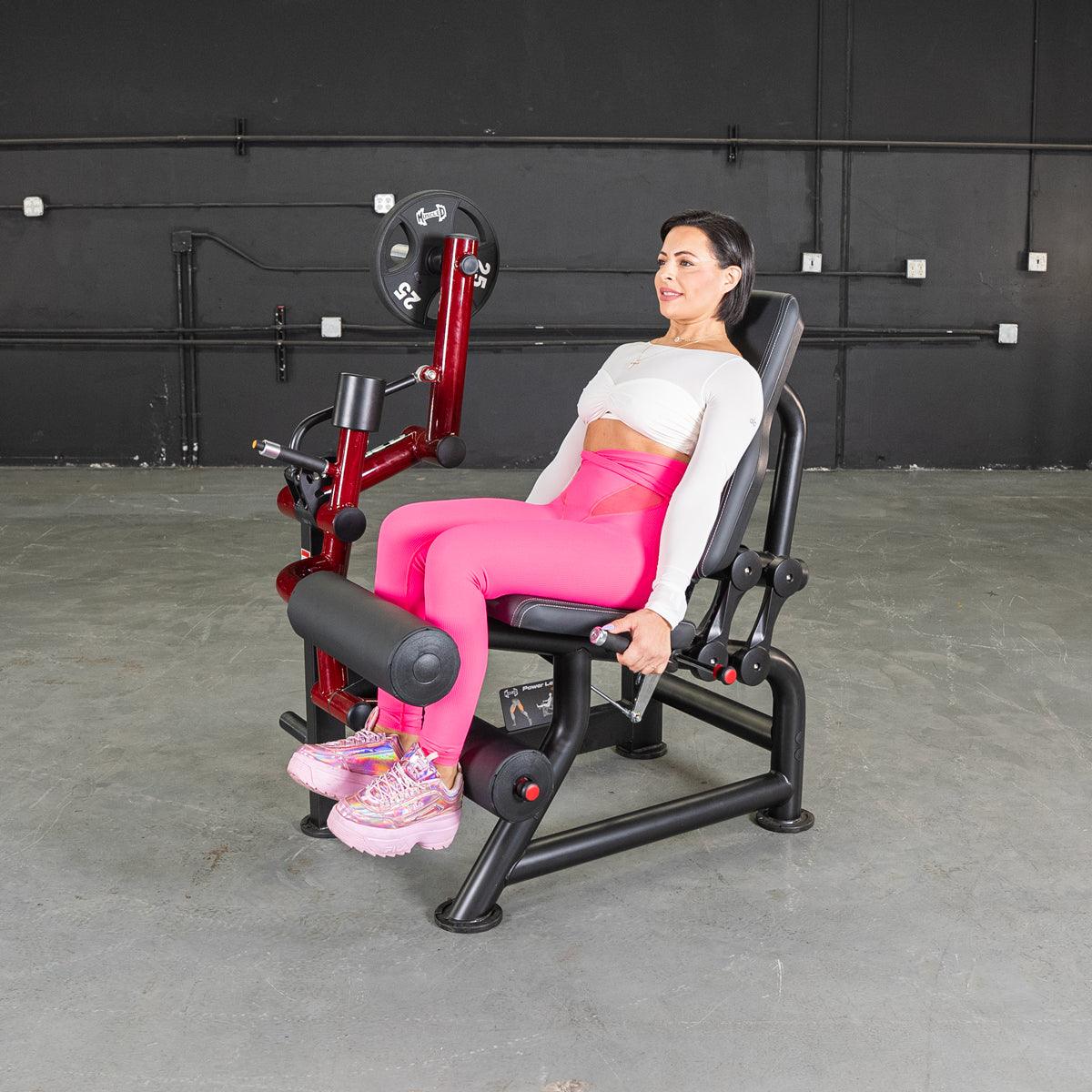 Power Leverage V2 Seated Leg Curl - Muscle D Fitness – Tundra Globe